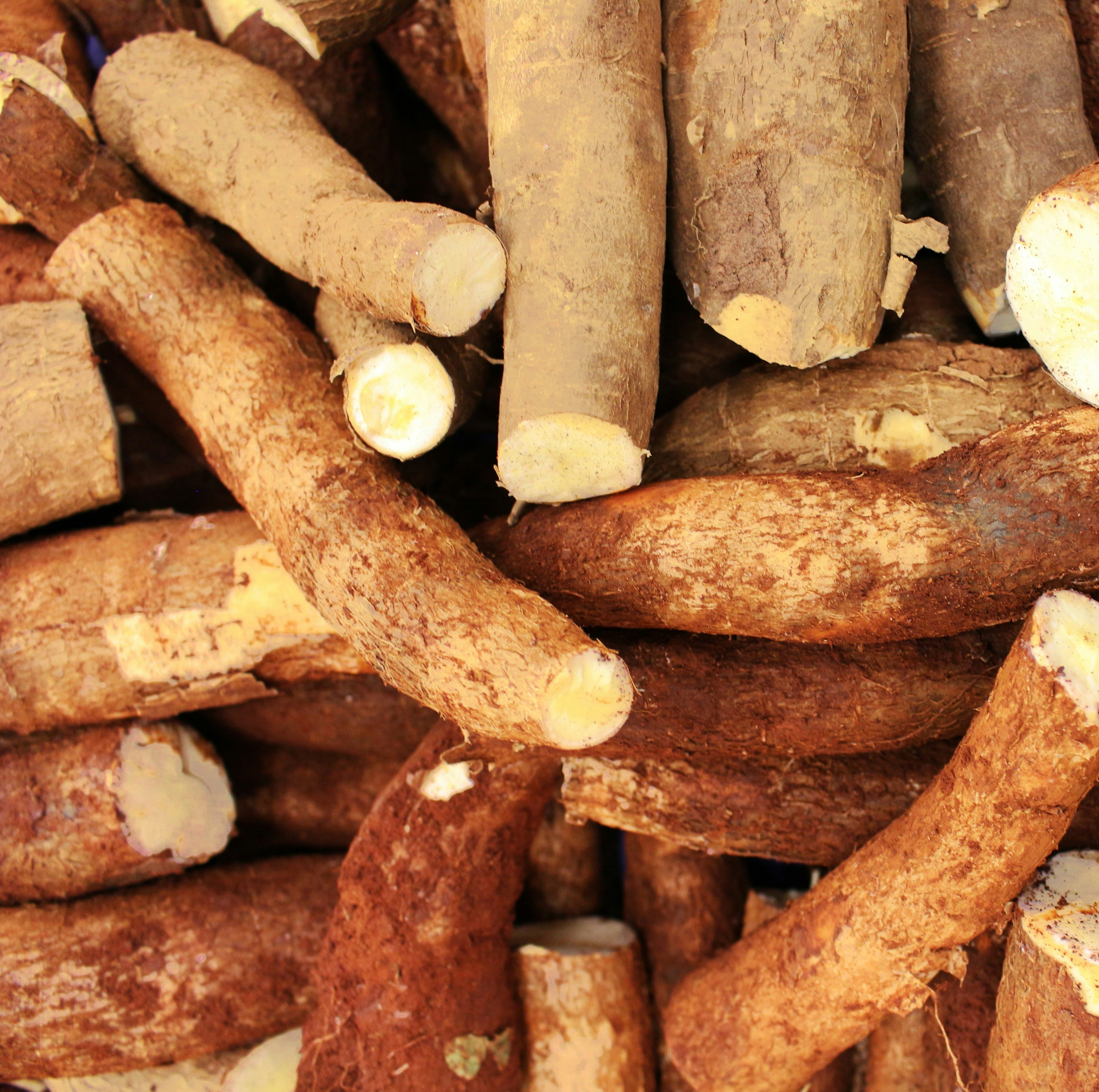 Culture and Cuisine of Uganda